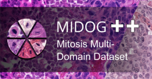 Datasets - MIDOG 2025