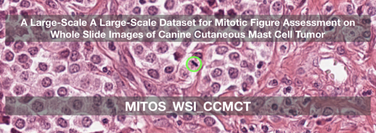 Datasets - MIDOG 2025