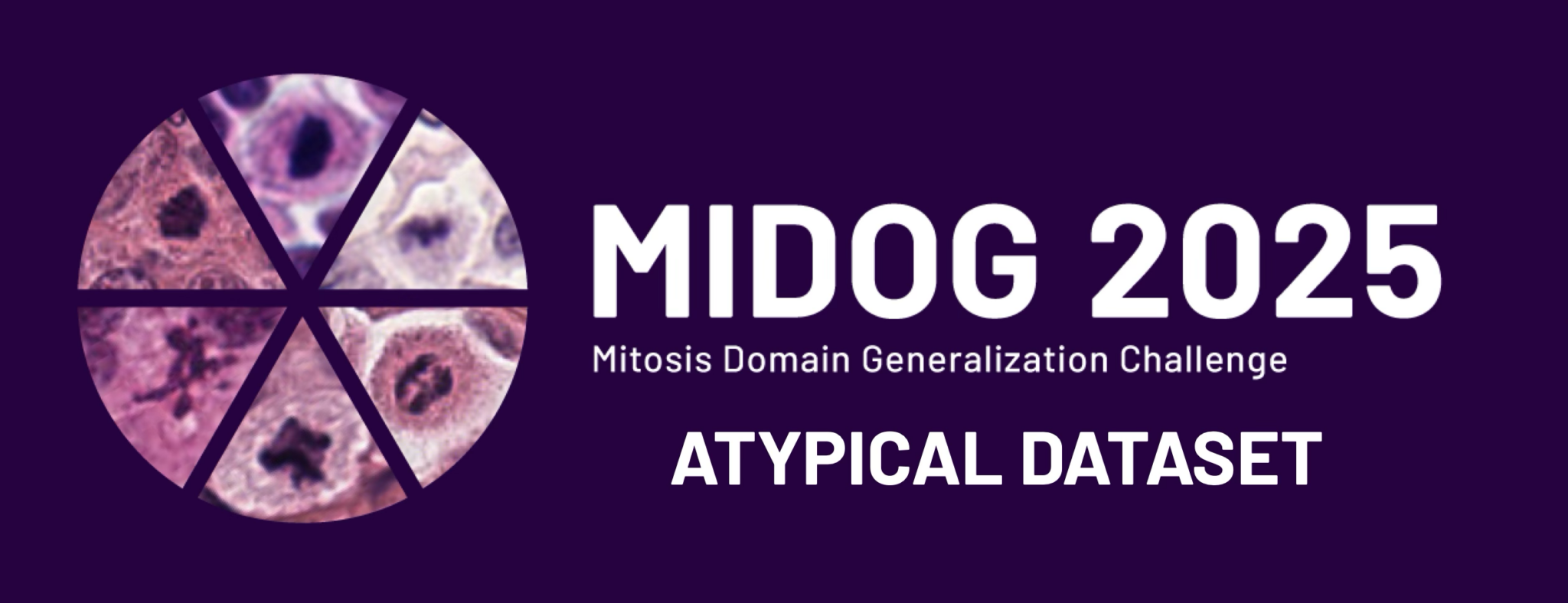 Datasets - MIDOG 2025